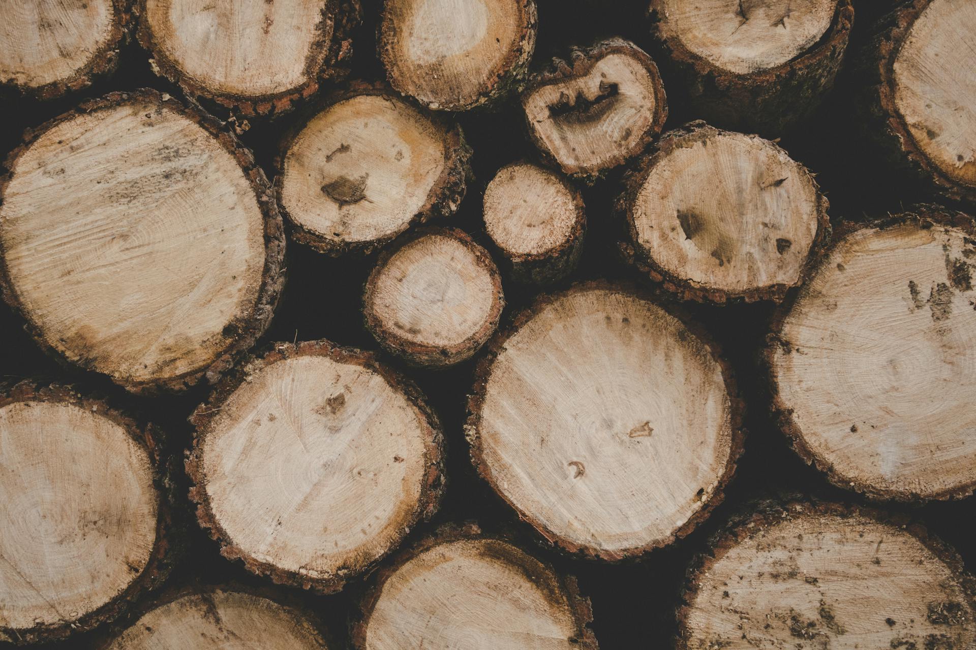 Commercial Fire Mitigation | Front Range Arborists